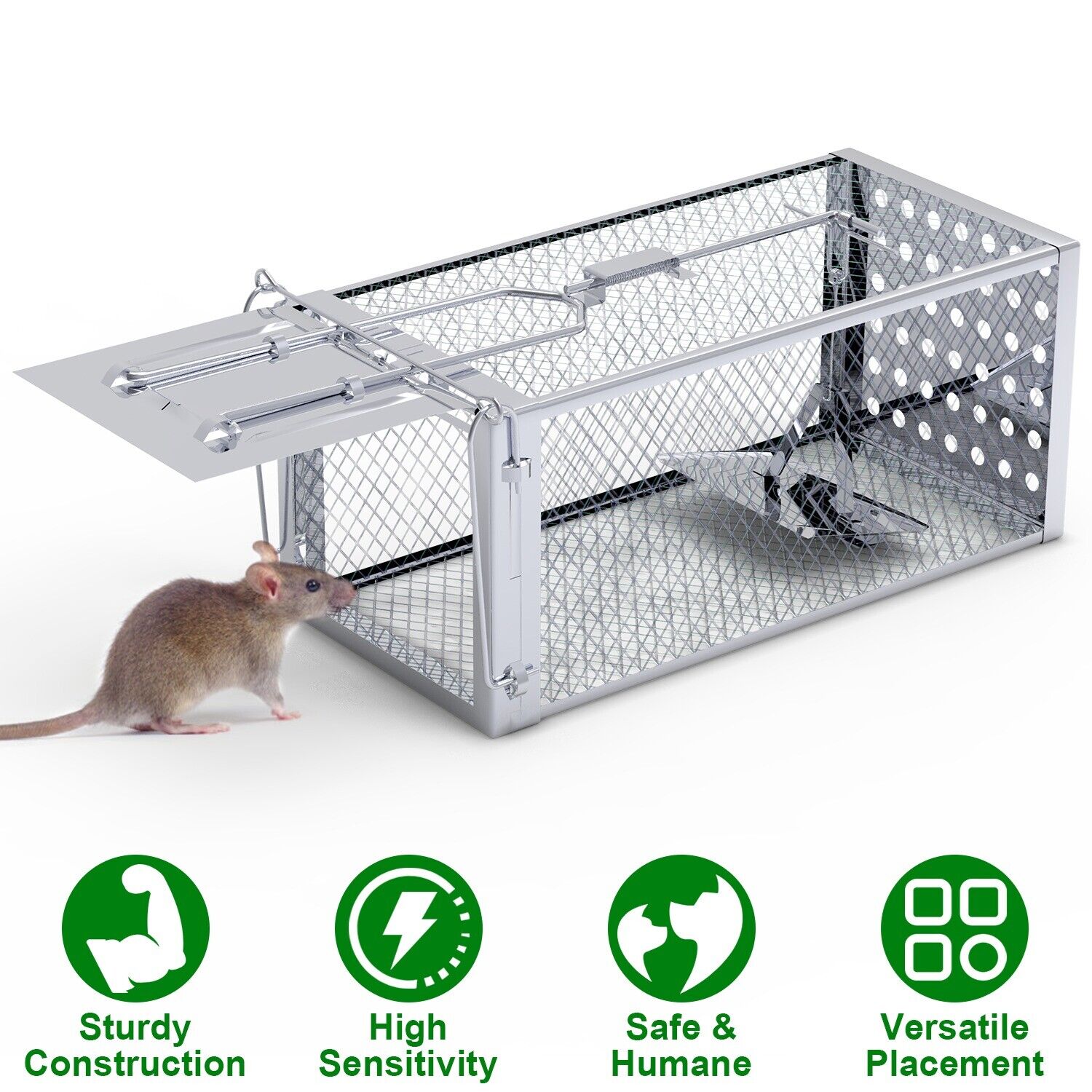 Live Humane Animal Trap for Squirrel Raccoon Skunk Opossums Fox Cat ...
